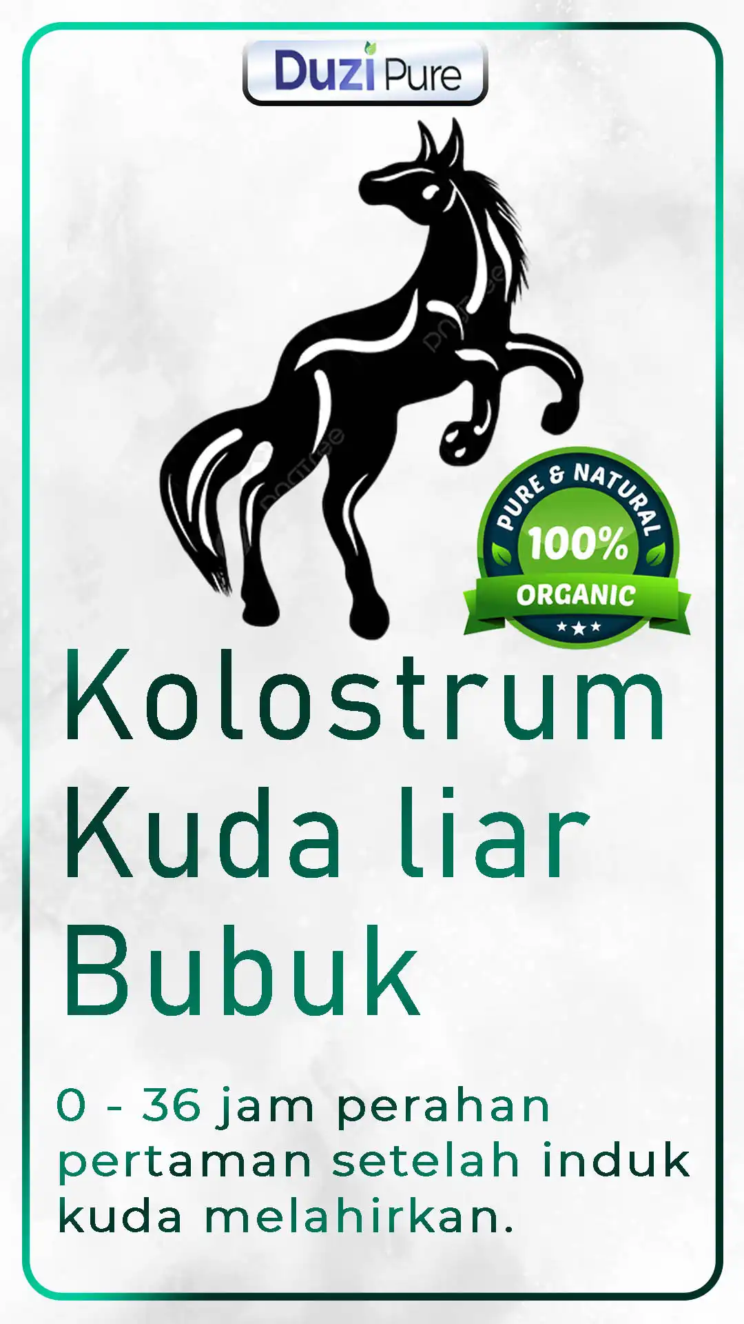 DUZI PURE F4 – jualkualitas.com